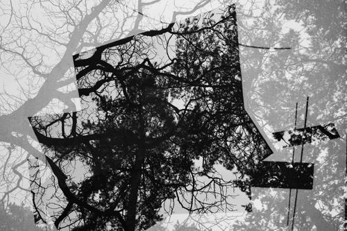 The decomposition of photography – Isthmaël Baudry